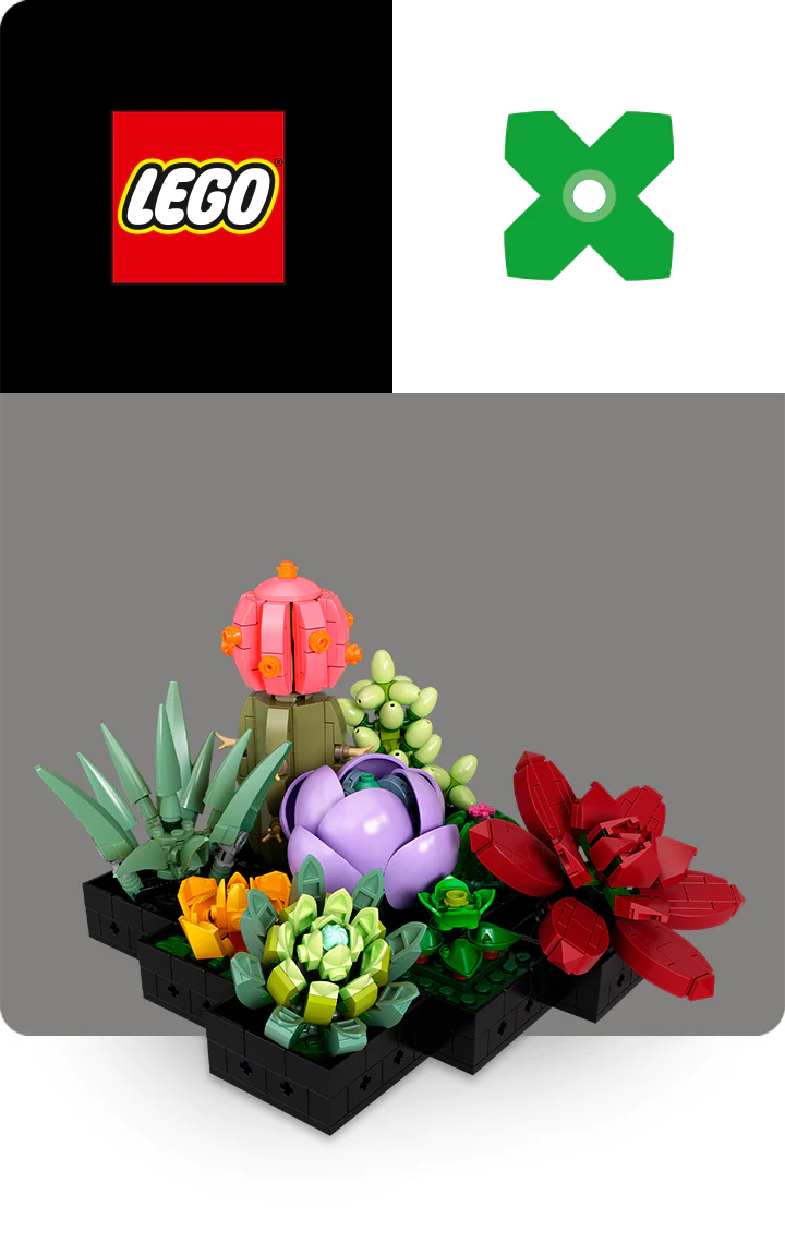 LEGO ICONS – Kubiki.ge – LEGO Shop Georgia